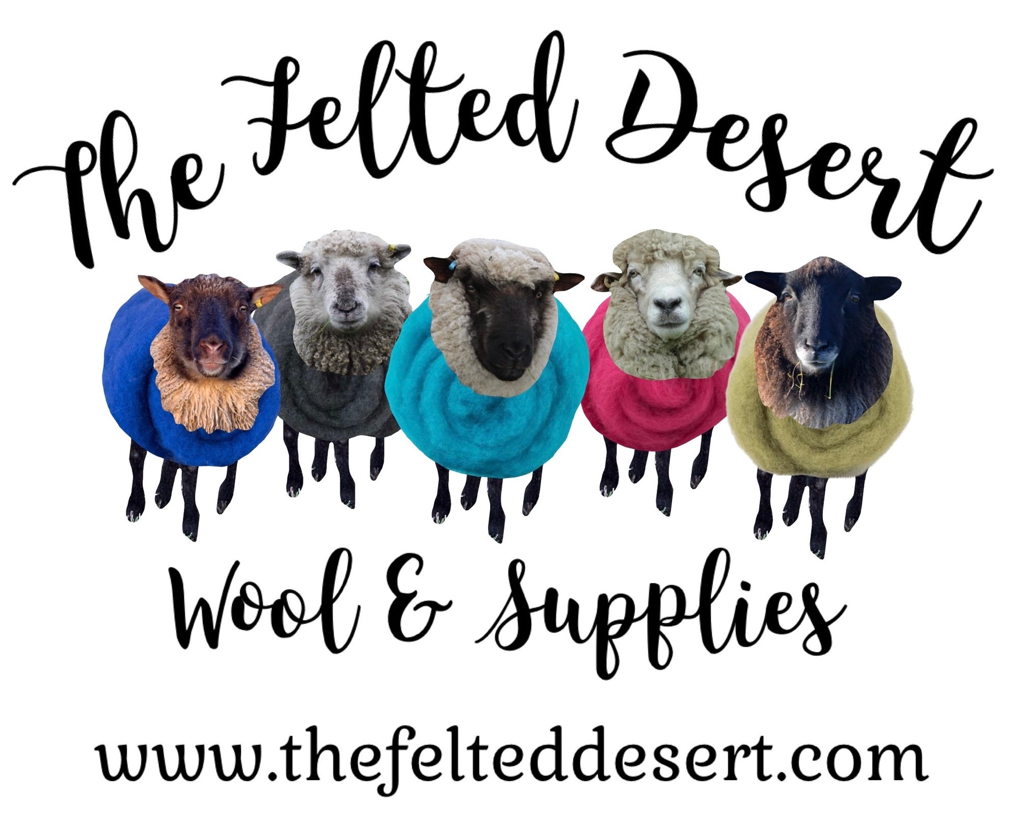 Sheep Needle Felting Kit- Choice of 3 colors – The Felted Desert