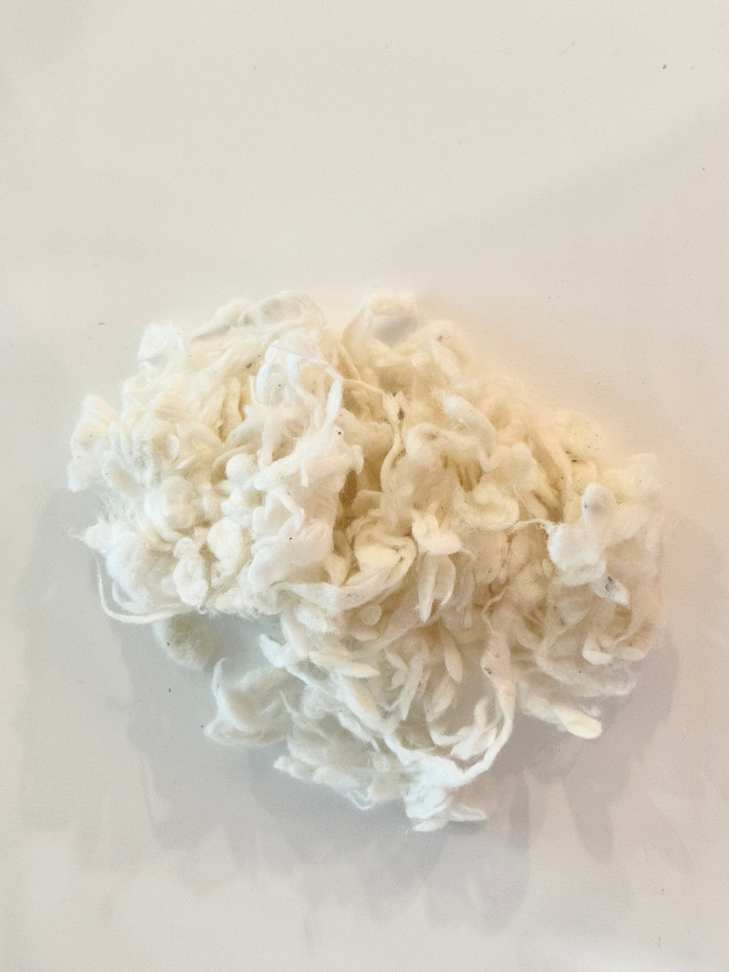 Merino Wool Burrs Natural – The Felted Desert